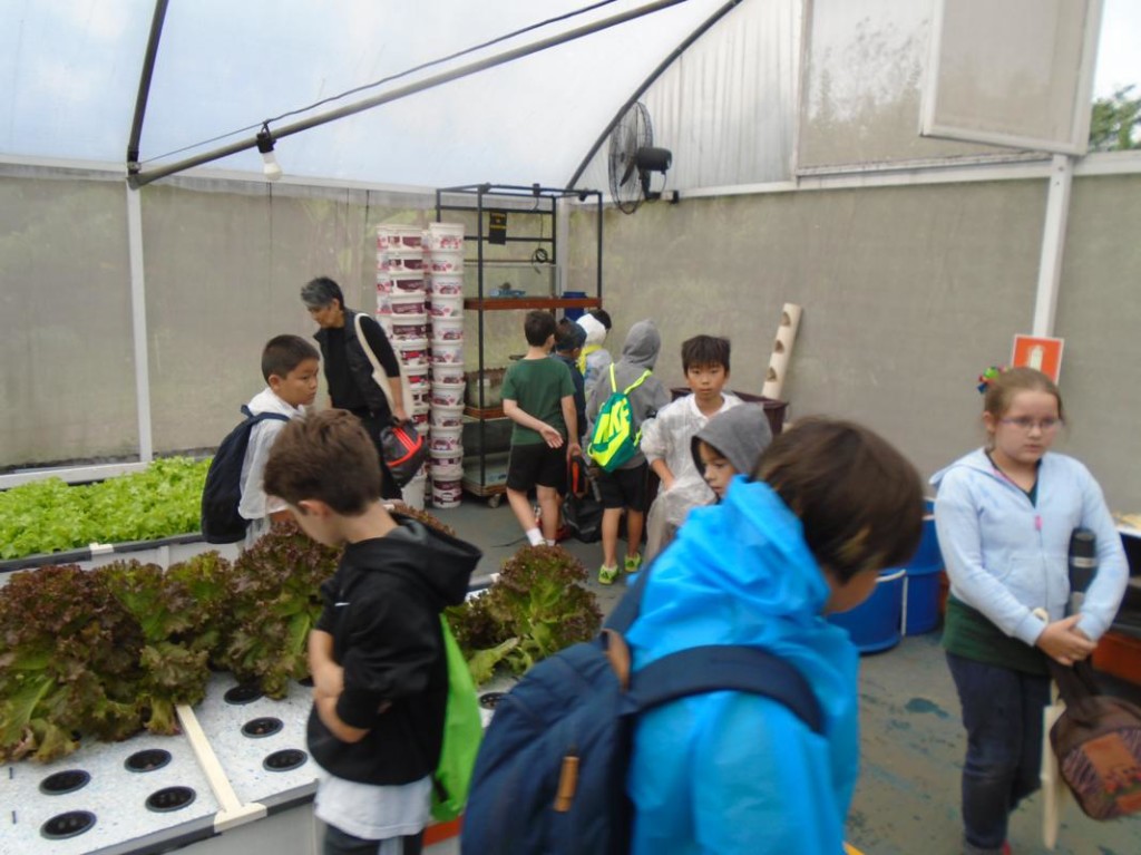 Escola PACA visita o CEFOPEA | Reciclazaro